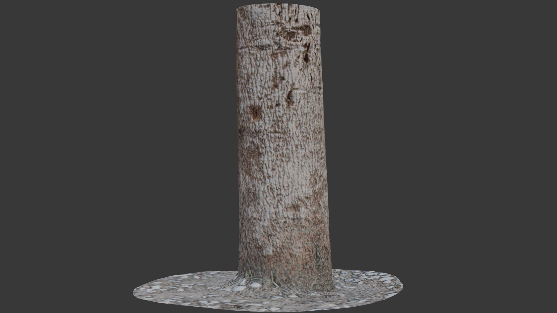 Tree Trunk Scan With Ground Base 3D Model - TurboSquid 2405957