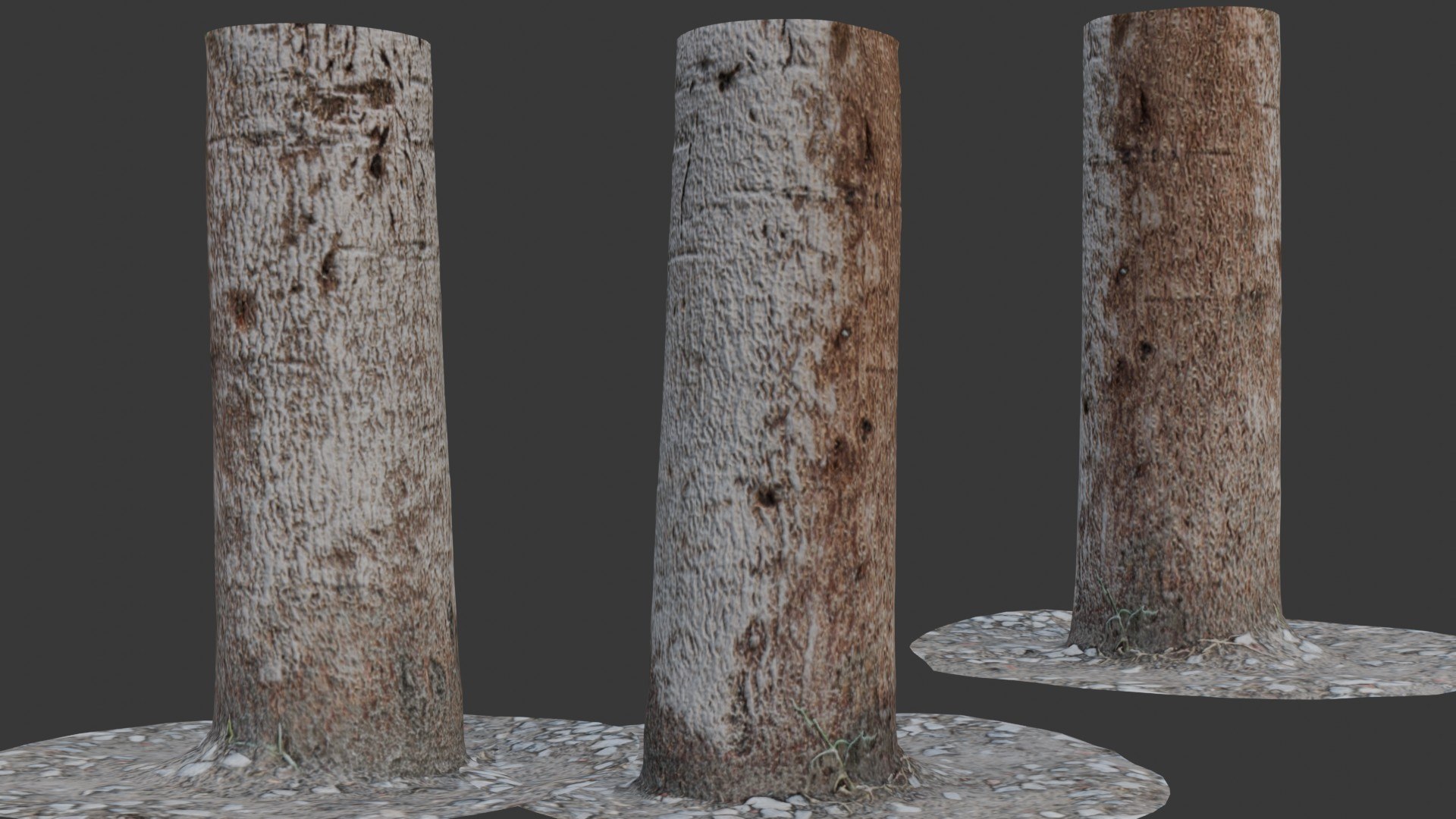 Tree Trunk Scan With Ground Base 3D Model - TurboSquid 2405957