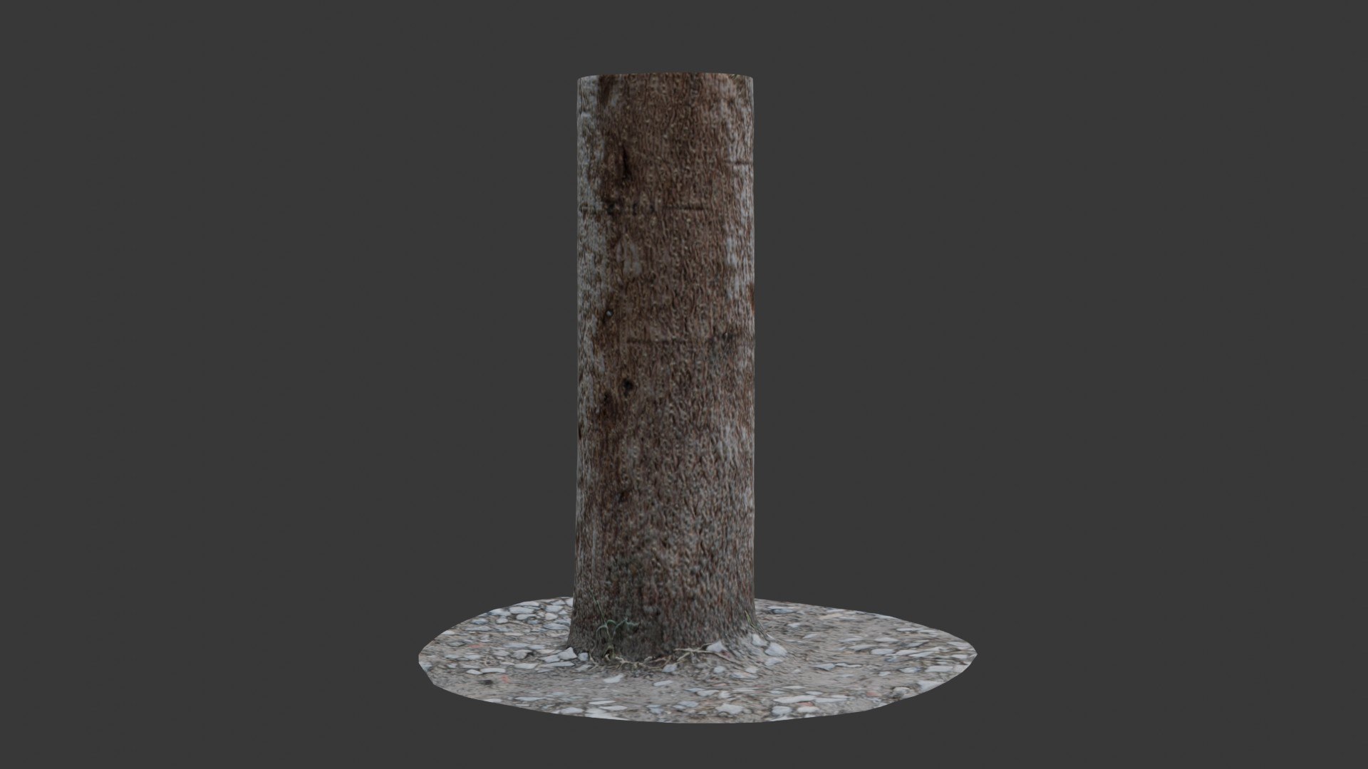 Tree Trunk Scan With Ground Base 3D Model - TurboSquid 2405957