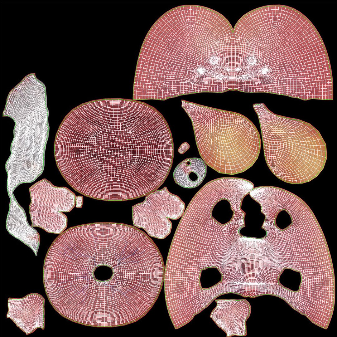 Fetus Week 7 Static Model - TurboSquid 1875336