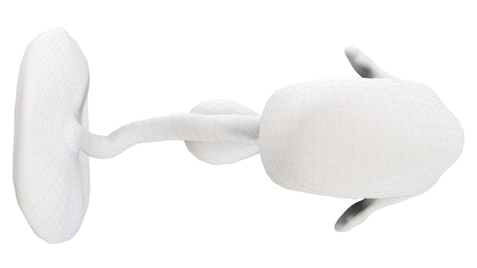 Fetus Week 7 Static Model - TurboSquid 1875336