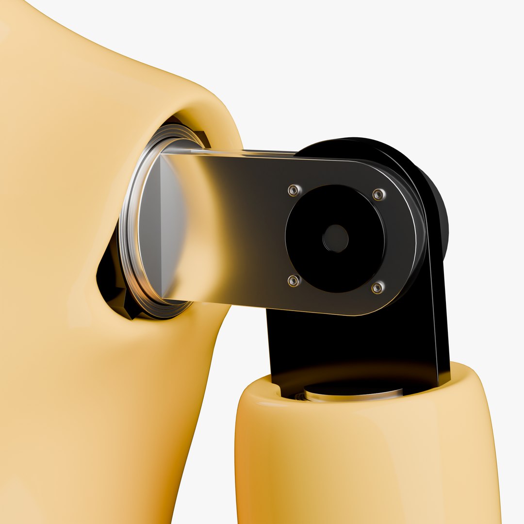 3D Crash Test Child Mannequin - TurboSquid 2192348