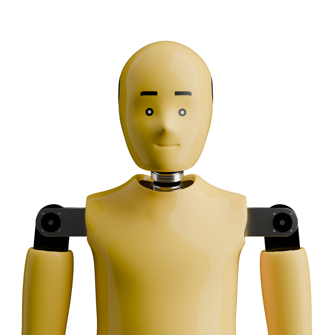 3D Crash Test Child Mannequin - TurboSquid 2192348