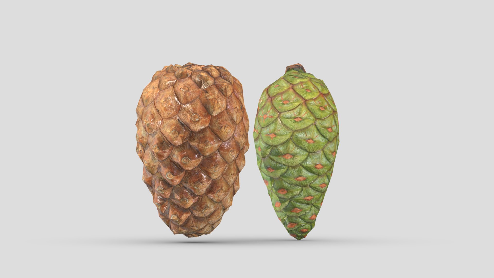 3D Pine Cone 2 Low PoLy Model - TurboSquid 2251457