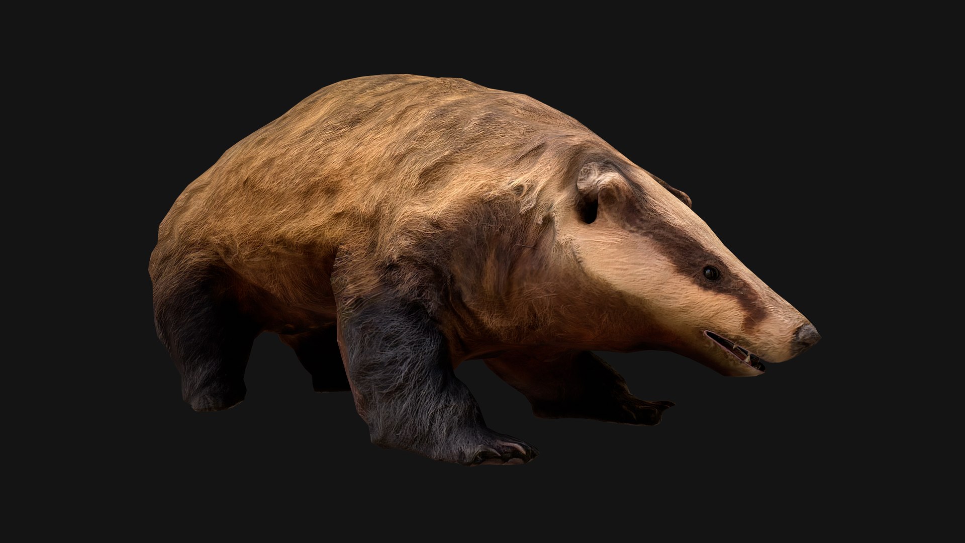 3D Badger - TurboSquid 2097073