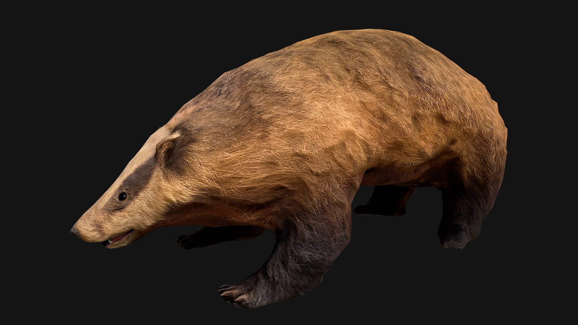 3D Badger - TurboSquid 2097073