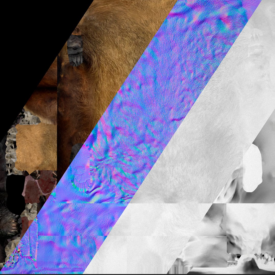 3D Badger - TurboSquid 2097073