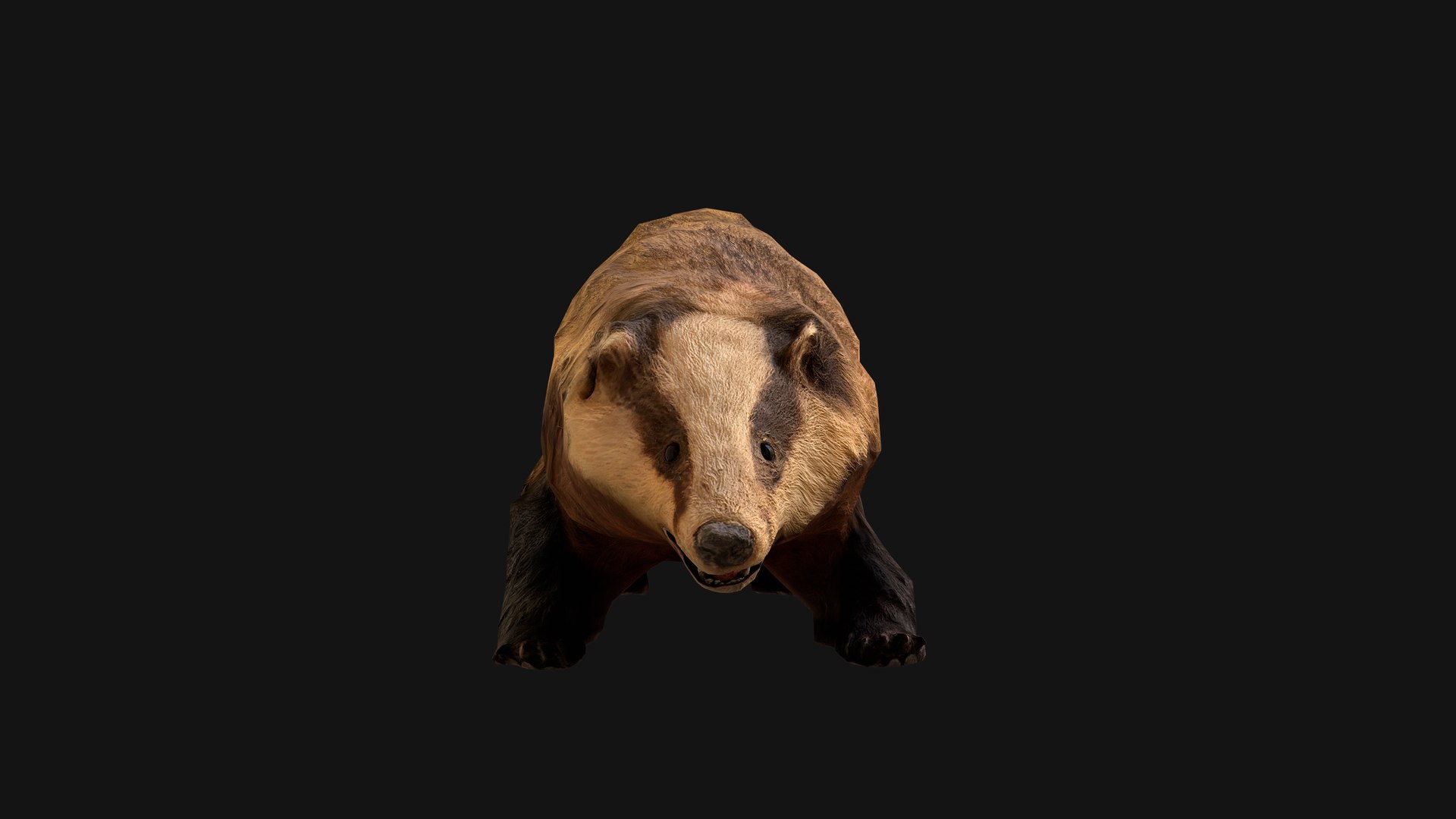 3D Badger - TurboSquid 2097073
