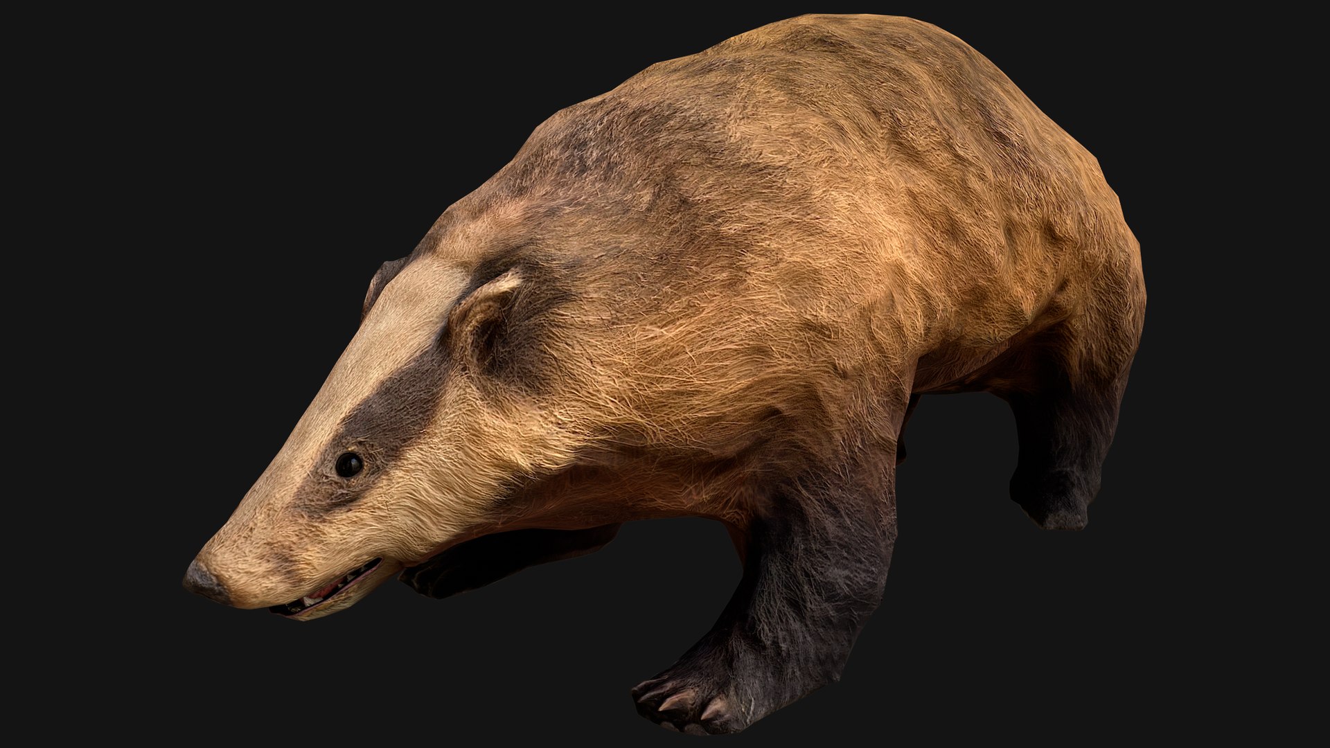 3D Badger - TurboSquid 2097073