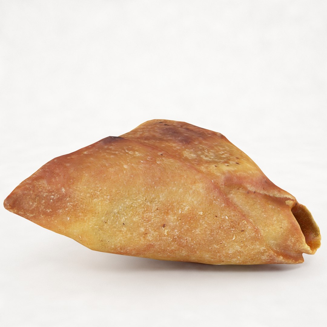 3d Model Samosa