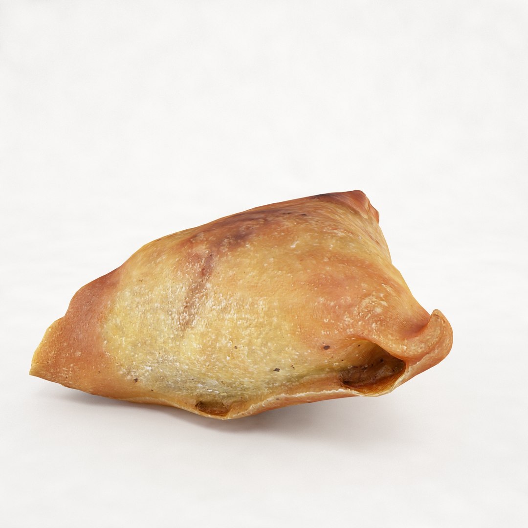3d Model Samosa