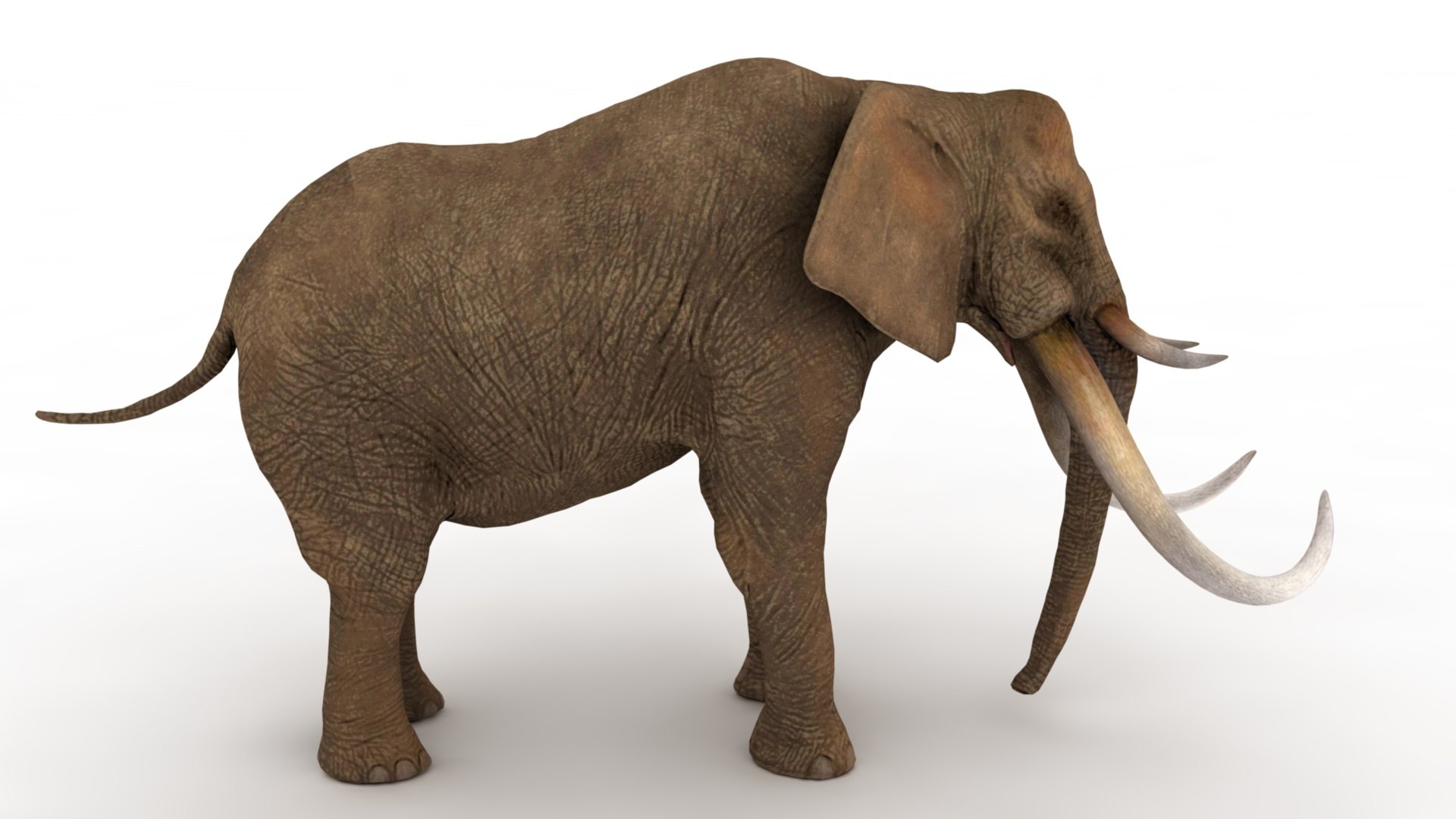 Elephant 3D - TurboSquid 2358400