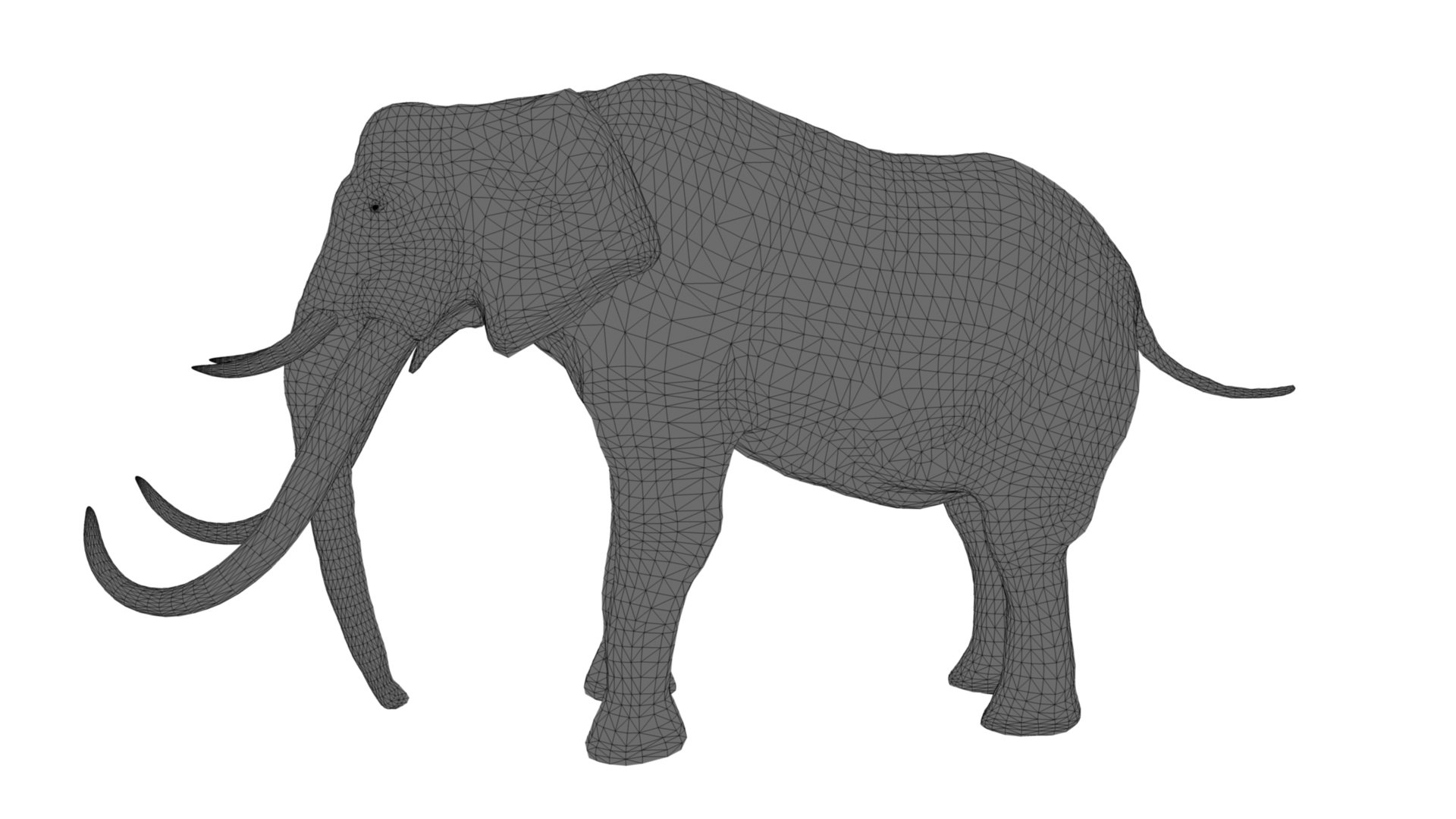 Elephant 3D - TurboSquid 2358400