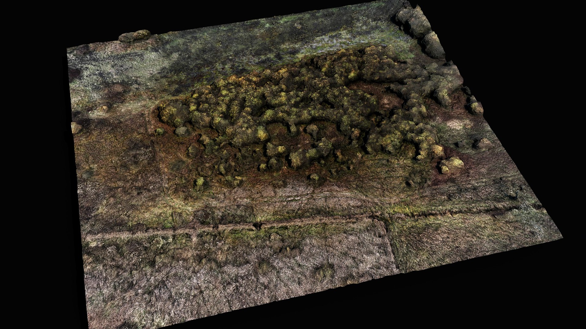 Forest Field Grass Bushes Area Part2 Drone Scan 3D Model - TurboSquid ...