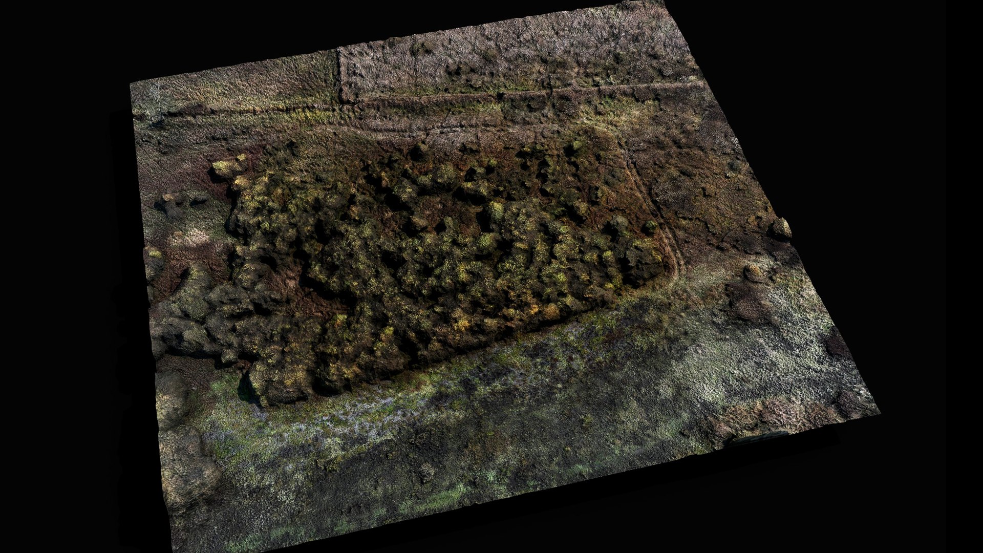 Forest Field Grass Bushes Area Part2 Drone Scan 3D Model - TurboSquid ...
