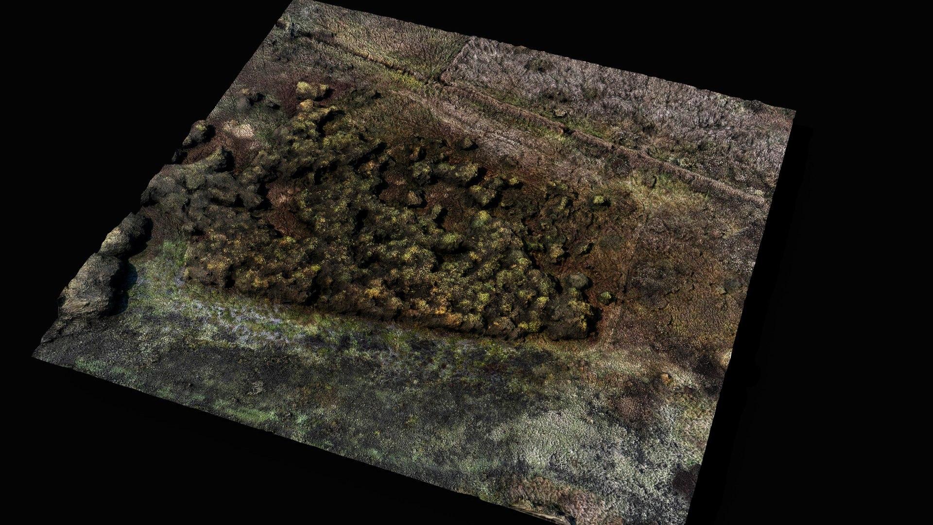 Forest Field Grass Bushes Area Part2 Drone Scan 3D Model - TurboSquid ...