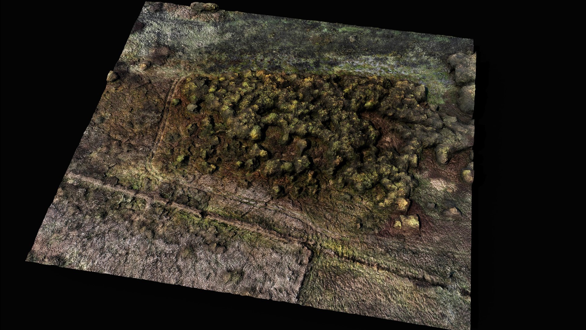 Forest Field Grass Bushes Area Part2 Drone Scan 3D Model - TurboSquid ...