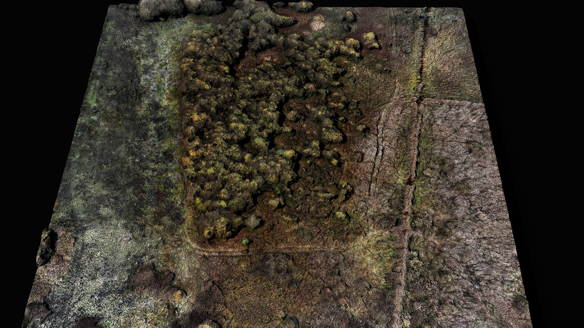 Forest Field Grass Bushes Area Part2 Drone Scan 3D Model - TurboSquid ...