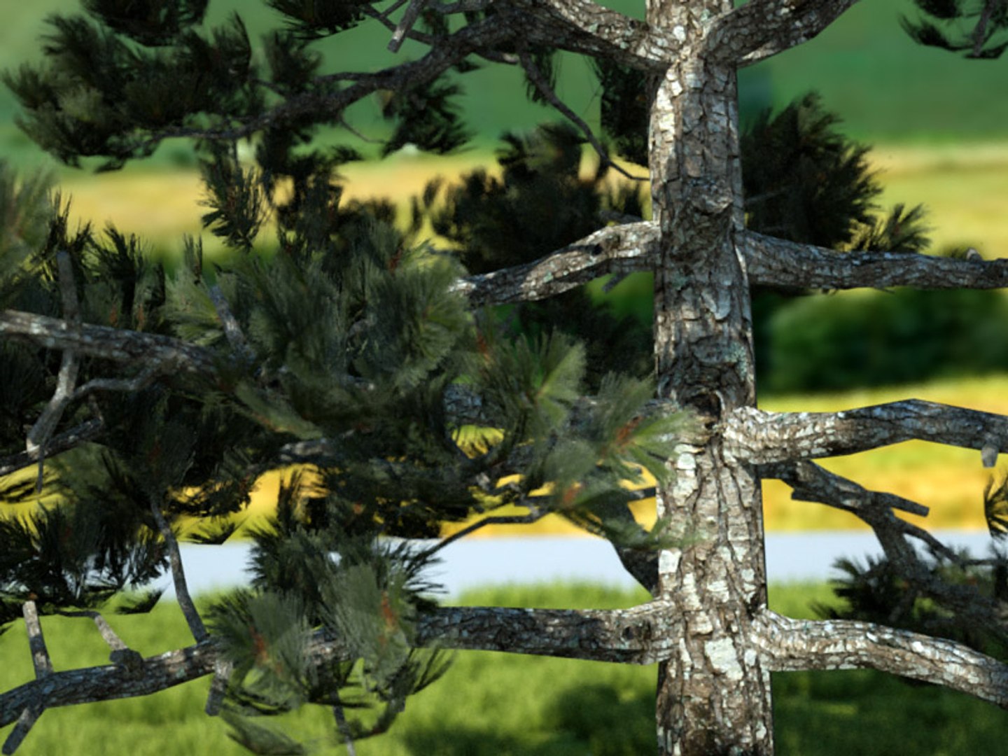 3d Model Pine Trees