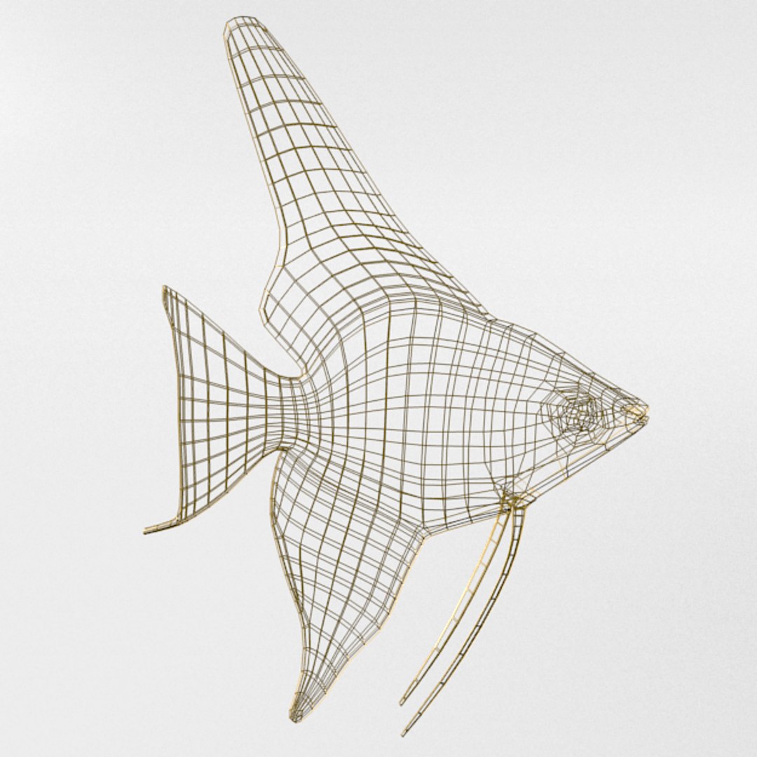 Fish Angelfish 3D Model - TurboSquid 1316754