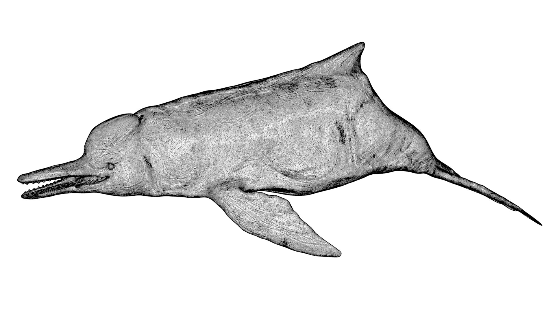 Amazon River L142 Animate 3D - TurboSquid 1412992