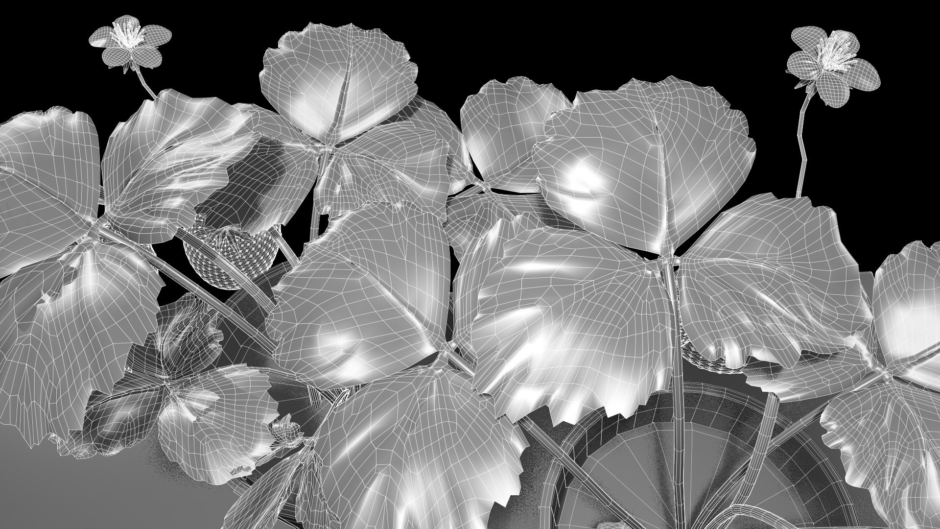 Strawberry Plants 3D Model - TurboSquid 1156468