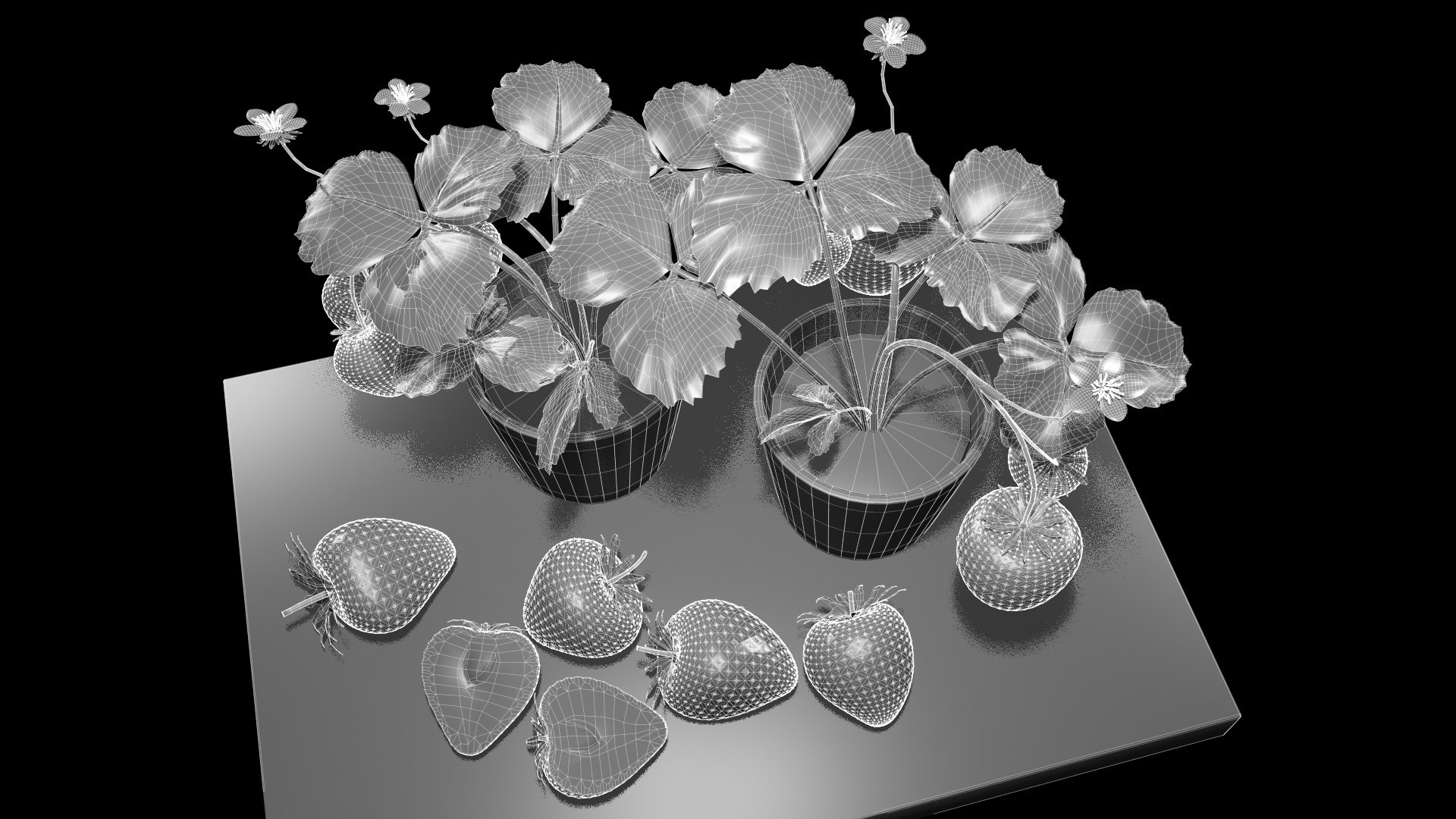 Strawberry Plants 3D Model - TurboSquid 1156468