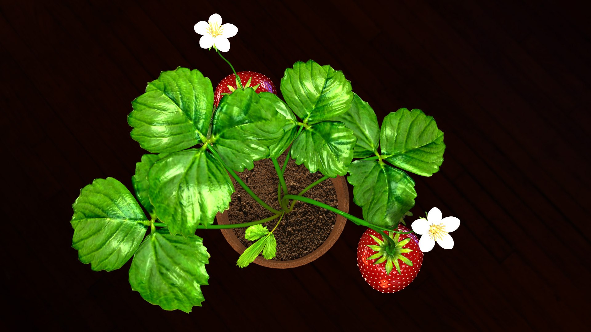 Strawberry Plants 3D Model - TurboSquid 1156468