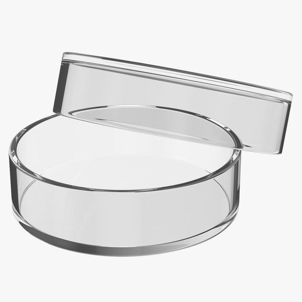 Petri Dish Small Modelo 3D - TurboSquid 2002704