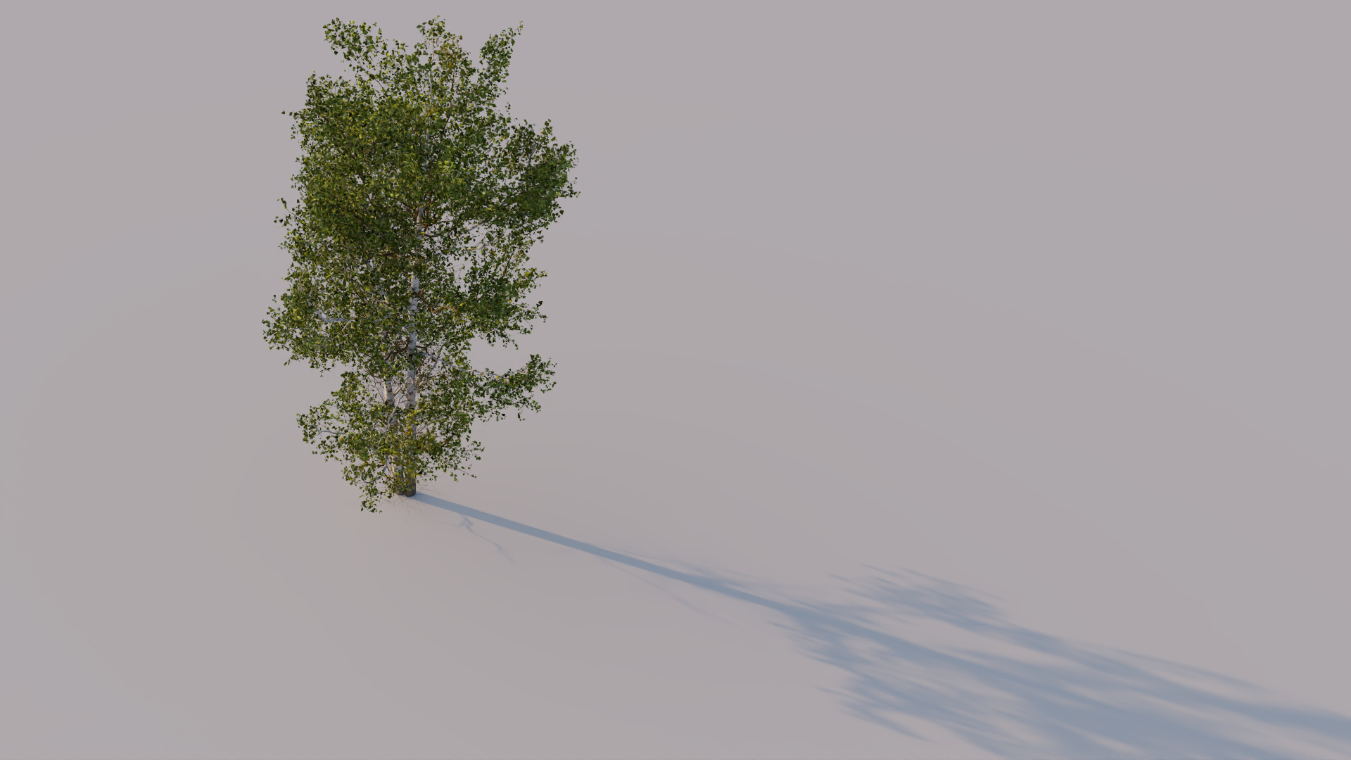 3D Aspen Animated Tree Model - TurboSquid 2252928