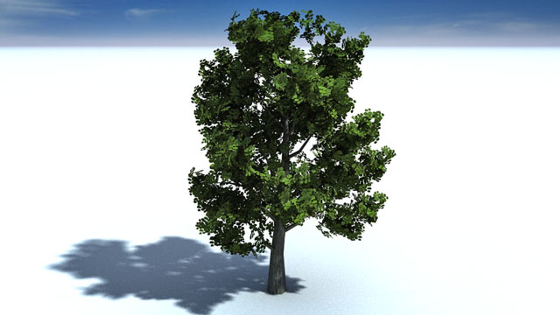 3d model big tree