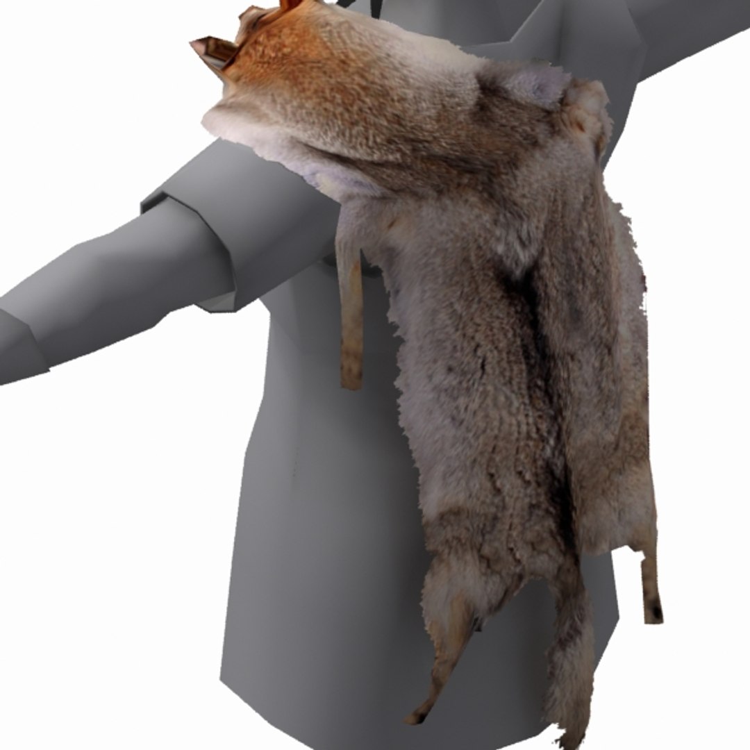 3d Model Wolf Pelt