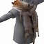 3d model wolf pelt