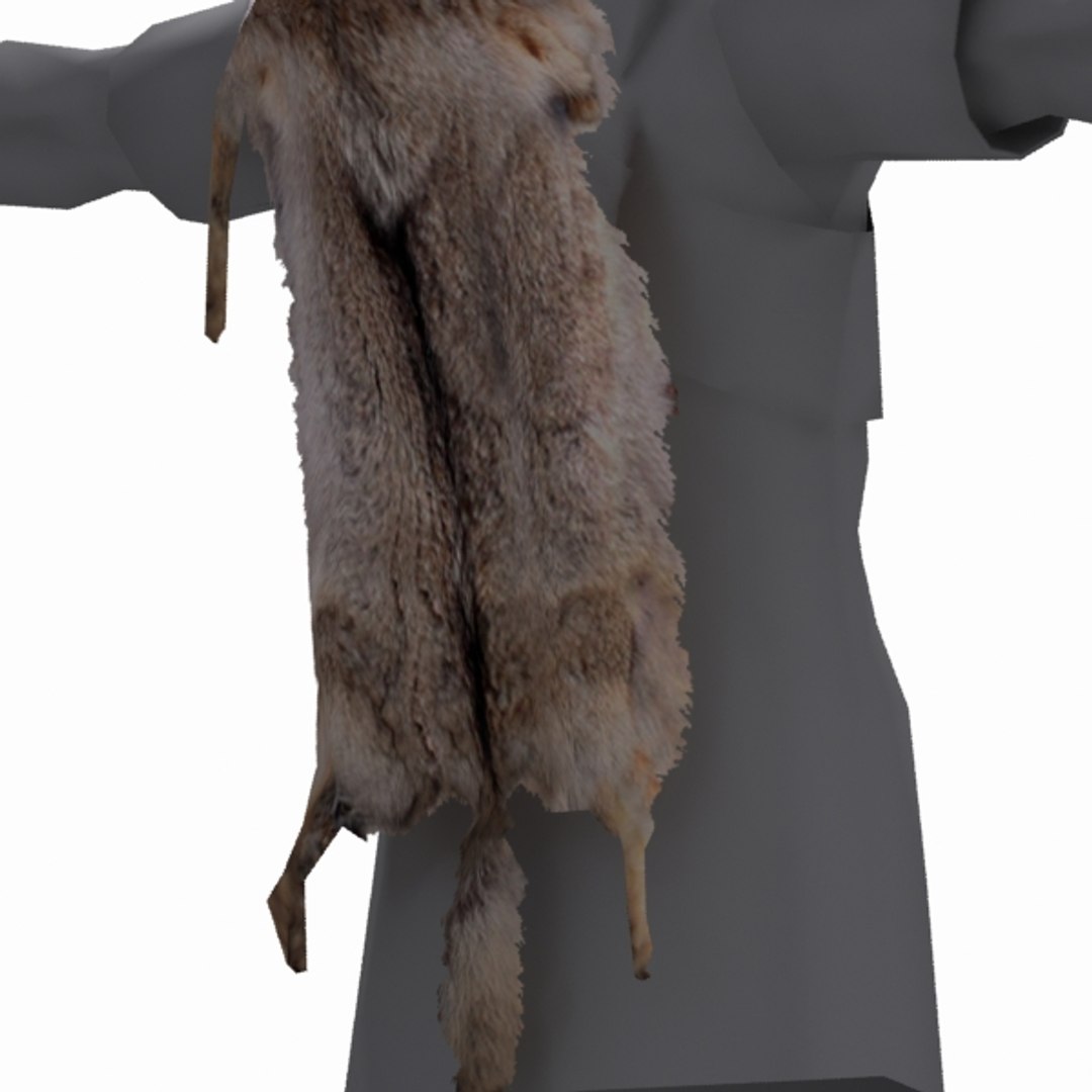 3d Model Wolf Pelt