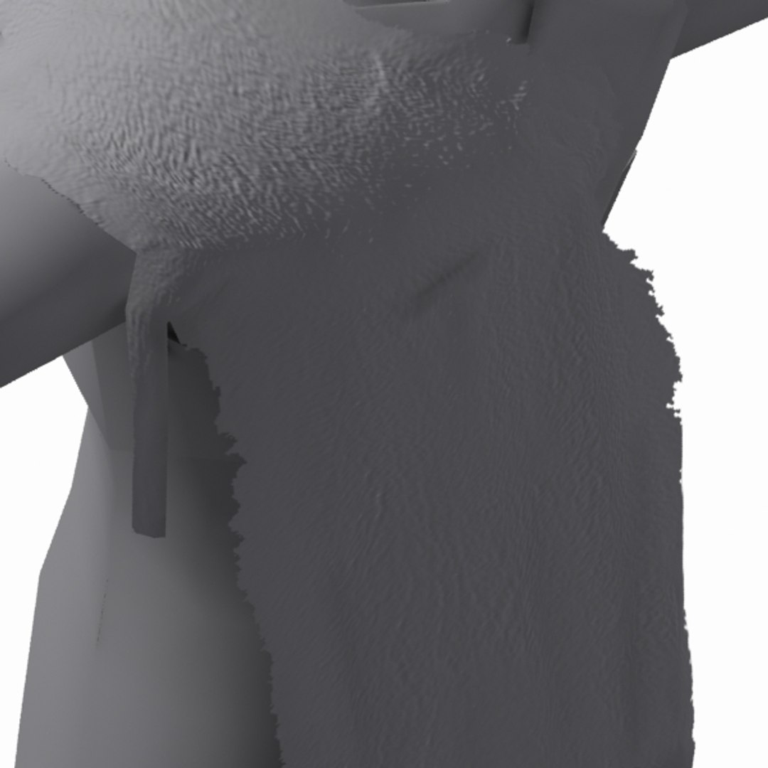 3d Model Wolf Pelt