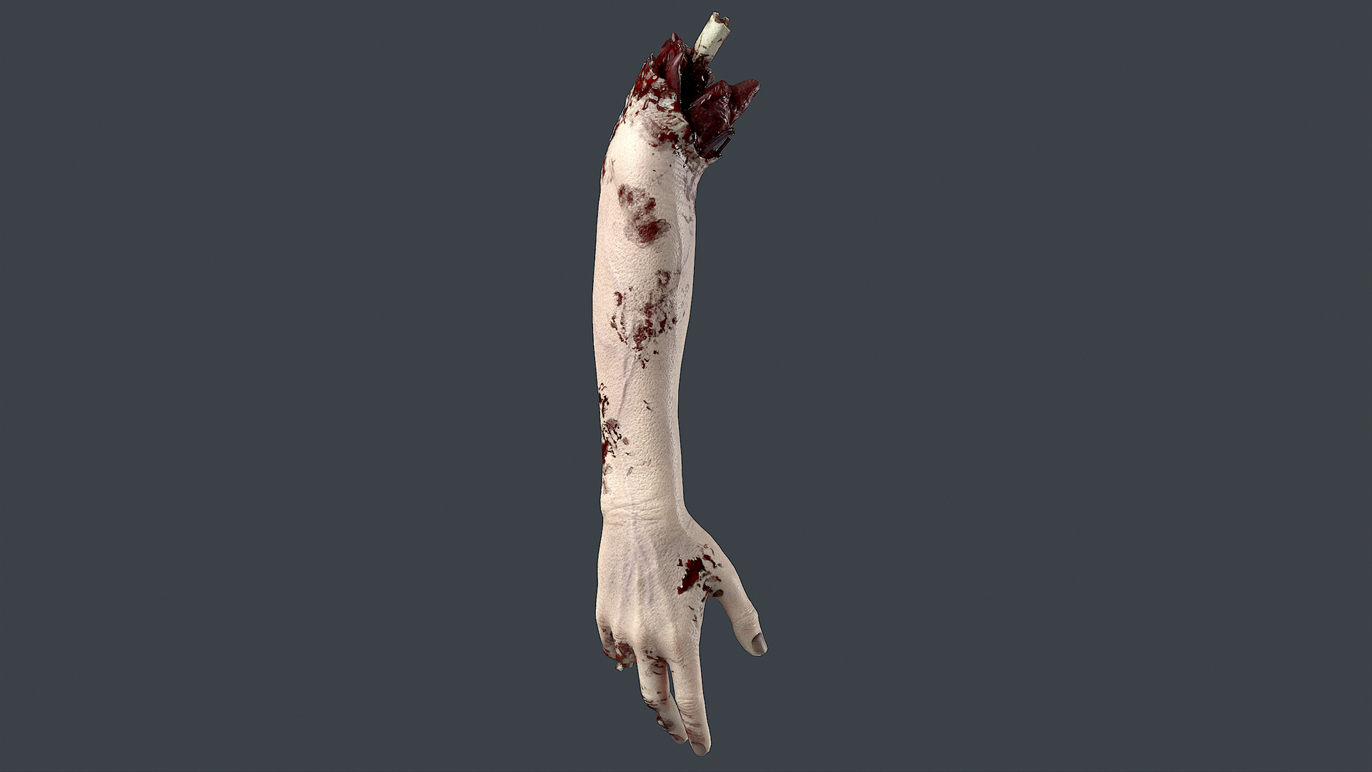 3D Severed Hands Collection Model - TurboSquid 1922276