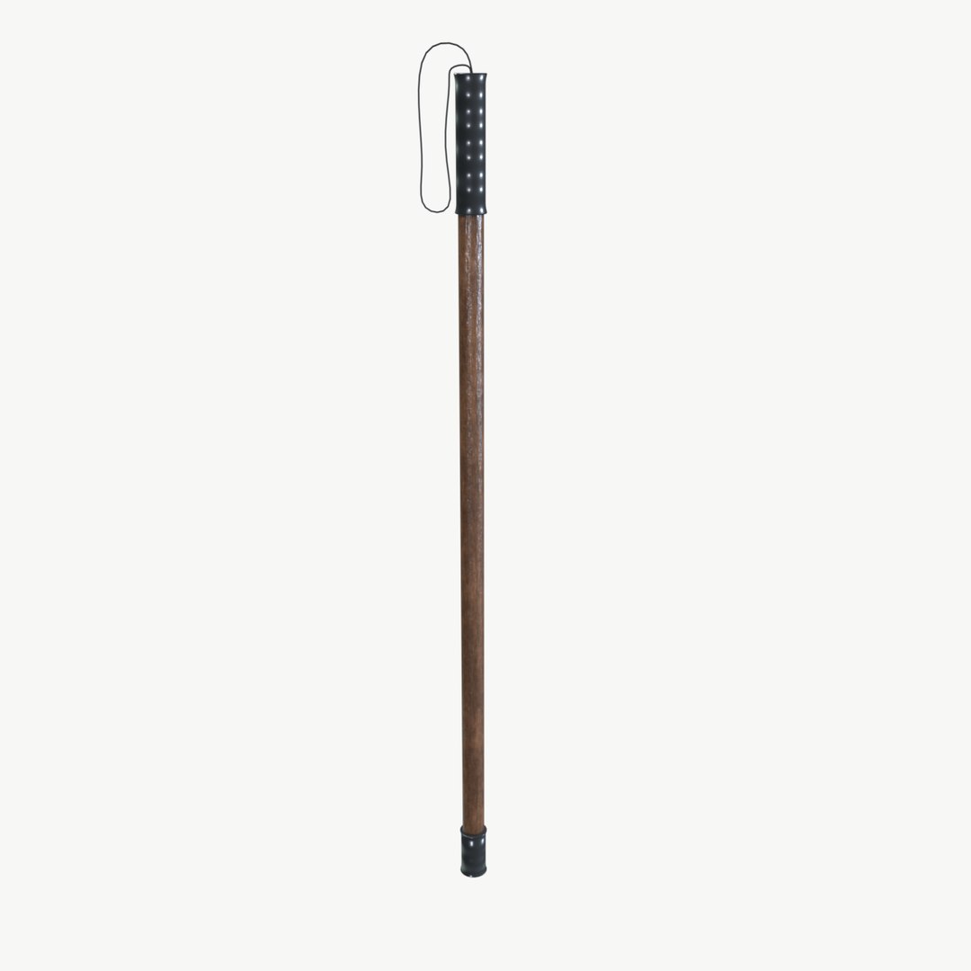 Security Stick 3D - TurboSquid 2387360