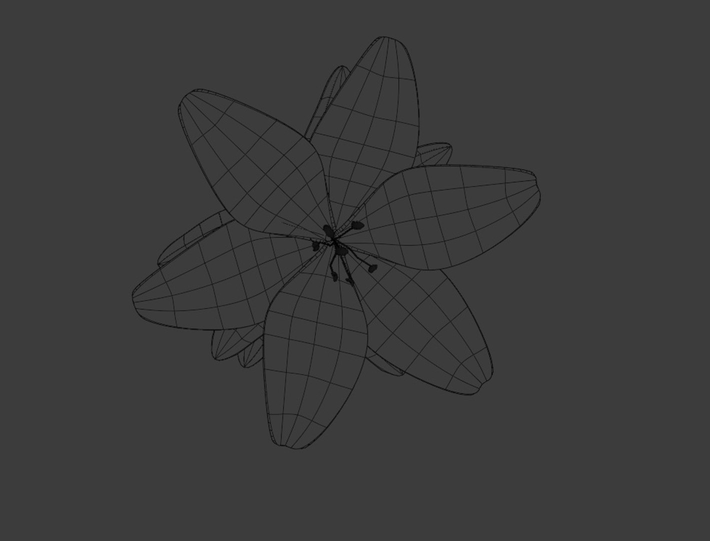 Lily Flower Model - TurboSquid 1656966