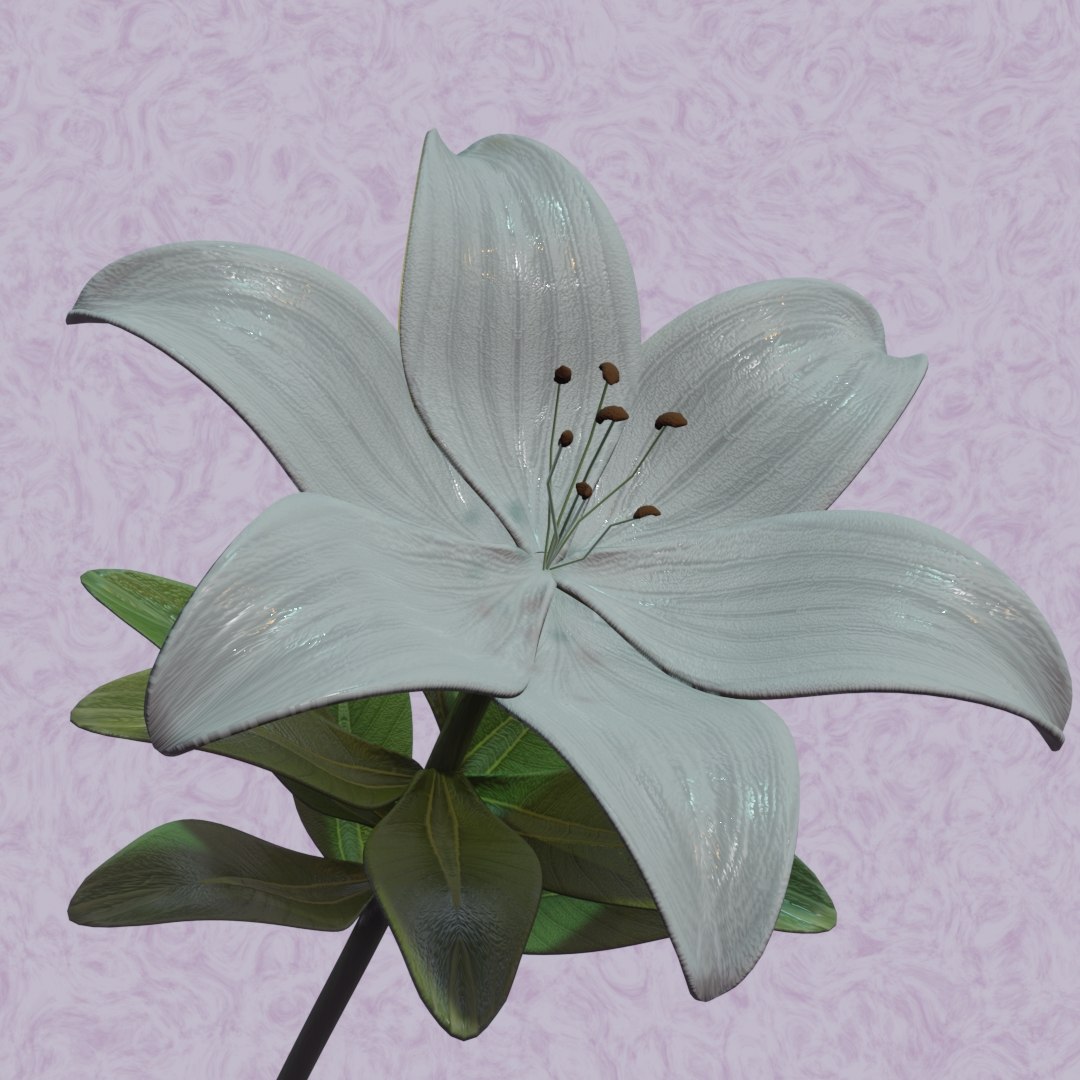 Lily Flower Model - TurboSquid 1656966