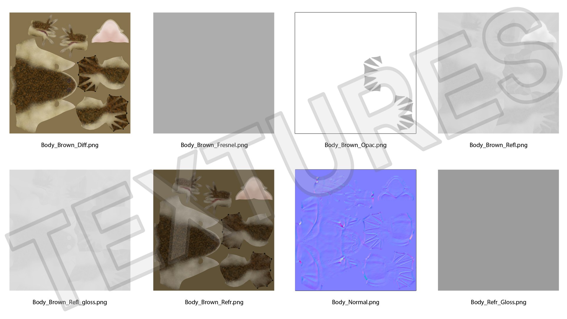 African Claw-toe Frog Rigged 3D model - TurboSquid 2131019