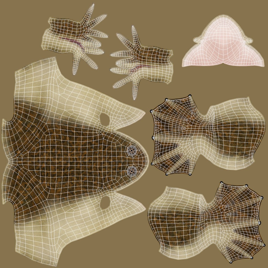 African Claw-toe Frog Rigged 3D model - TurboSquid 2131019