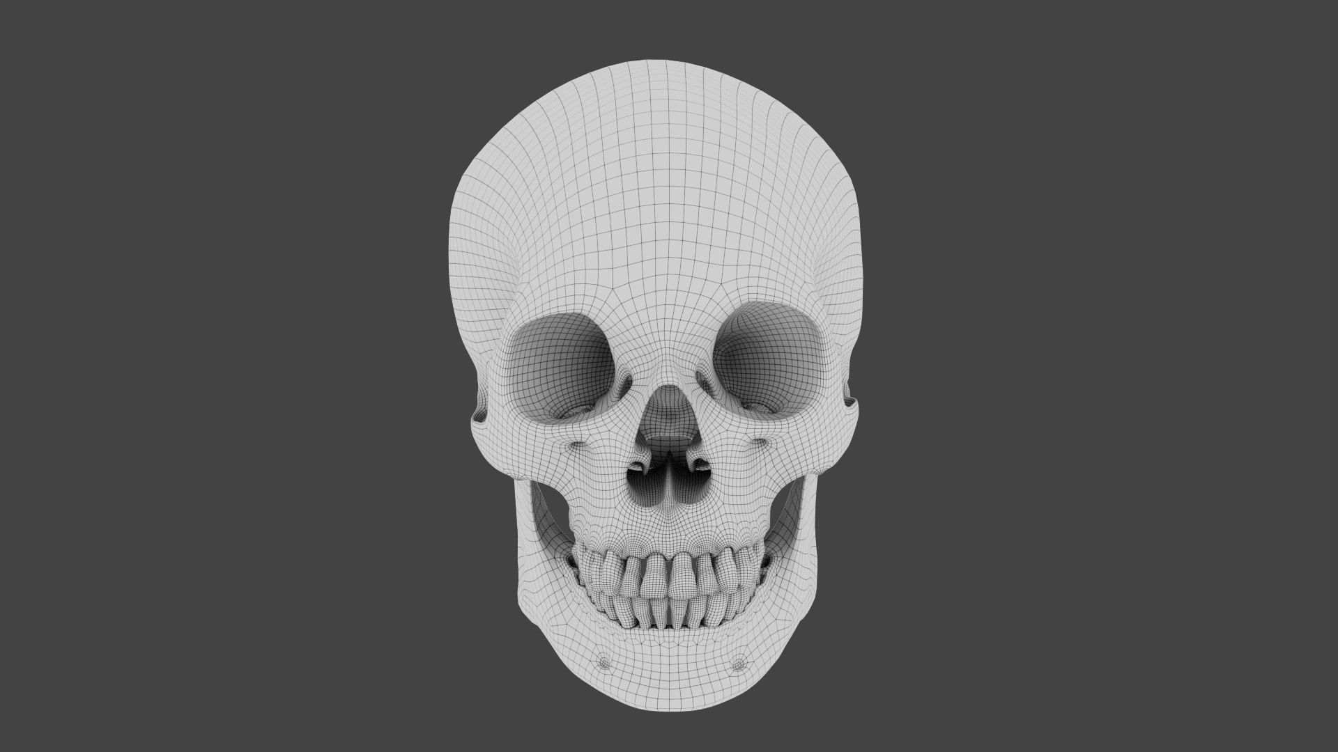 Realistic Human Skull 01 3D Model - TurboSquid 2120760