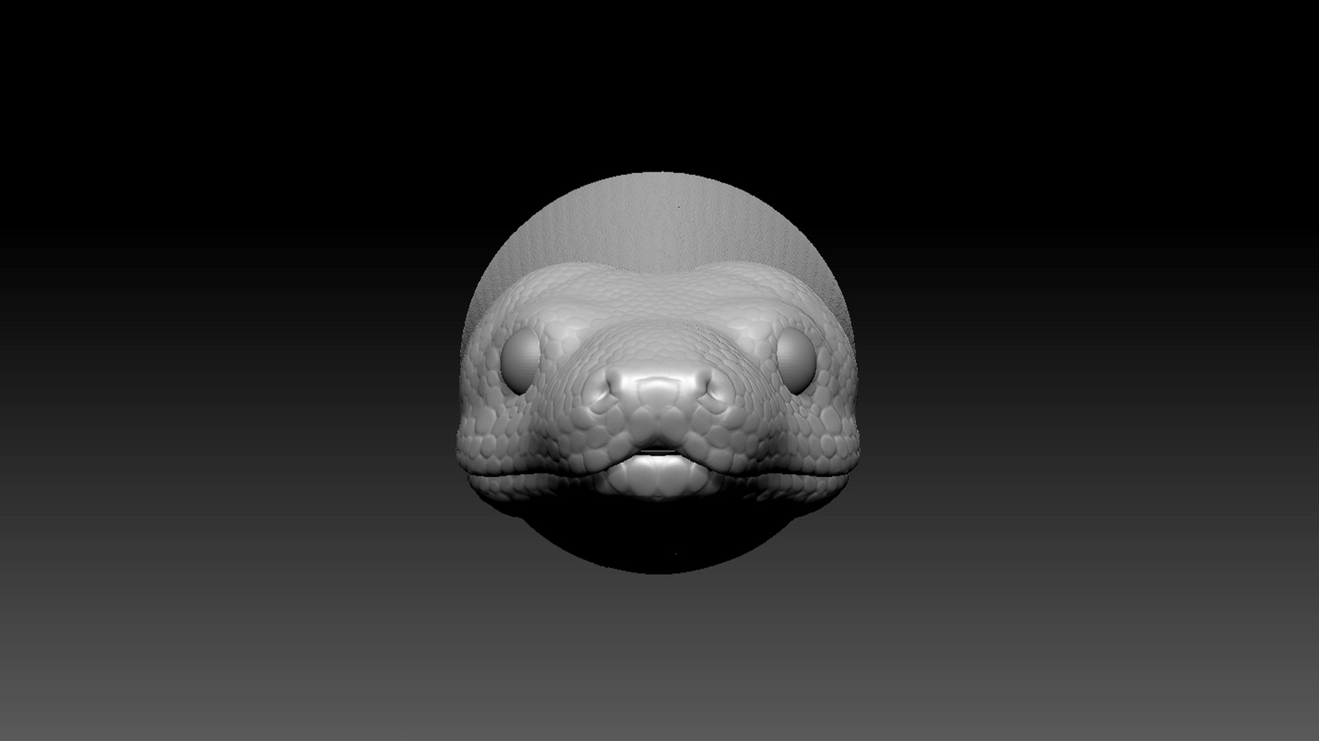 3D Model Boa Constrictor Zbrush Model - TurboSquid 2365455