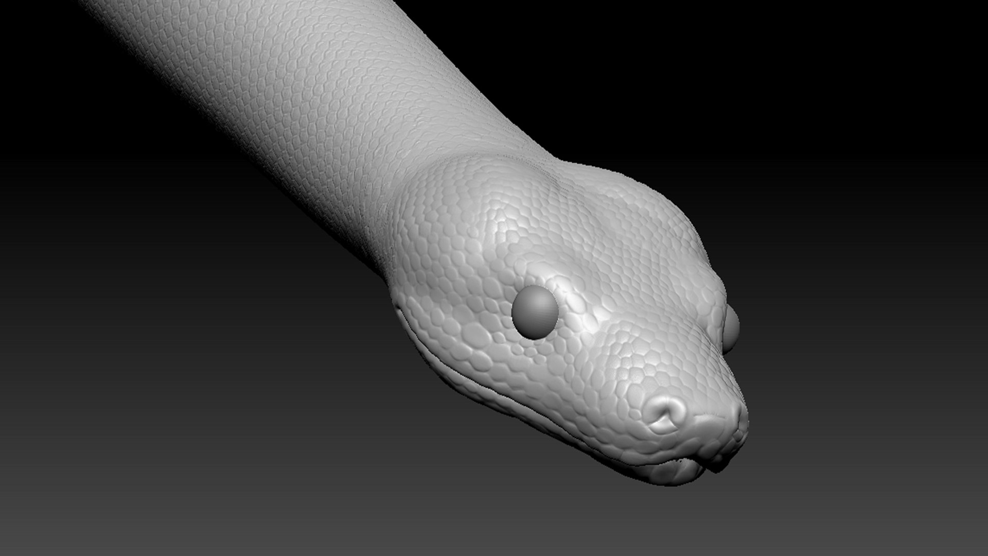 3D Model Boa Constrictor Zbrush Model - TurboSquid 2365455