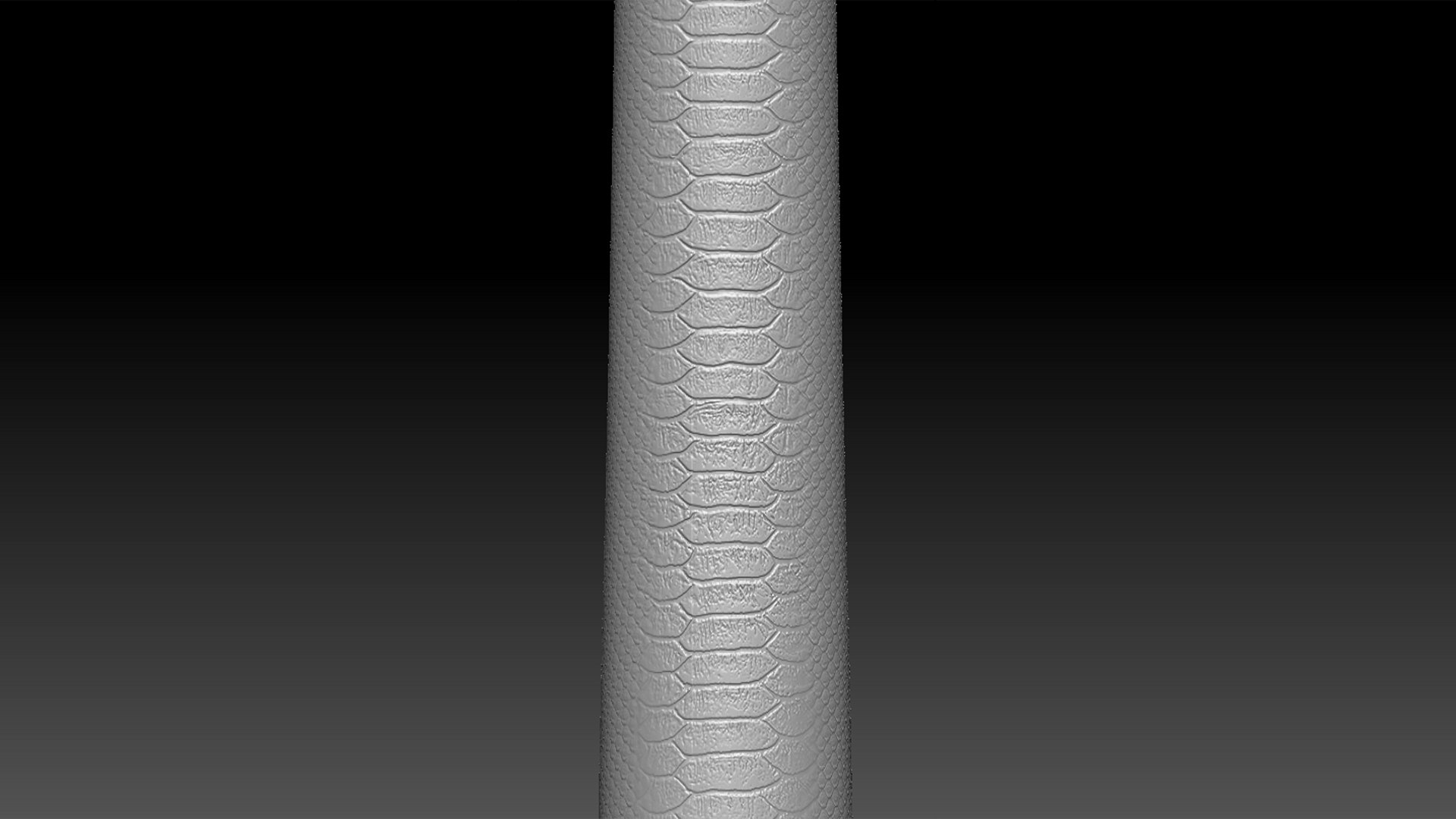 3D Model Boa Constrictor Zbrush Model - TurboSquid 2365455