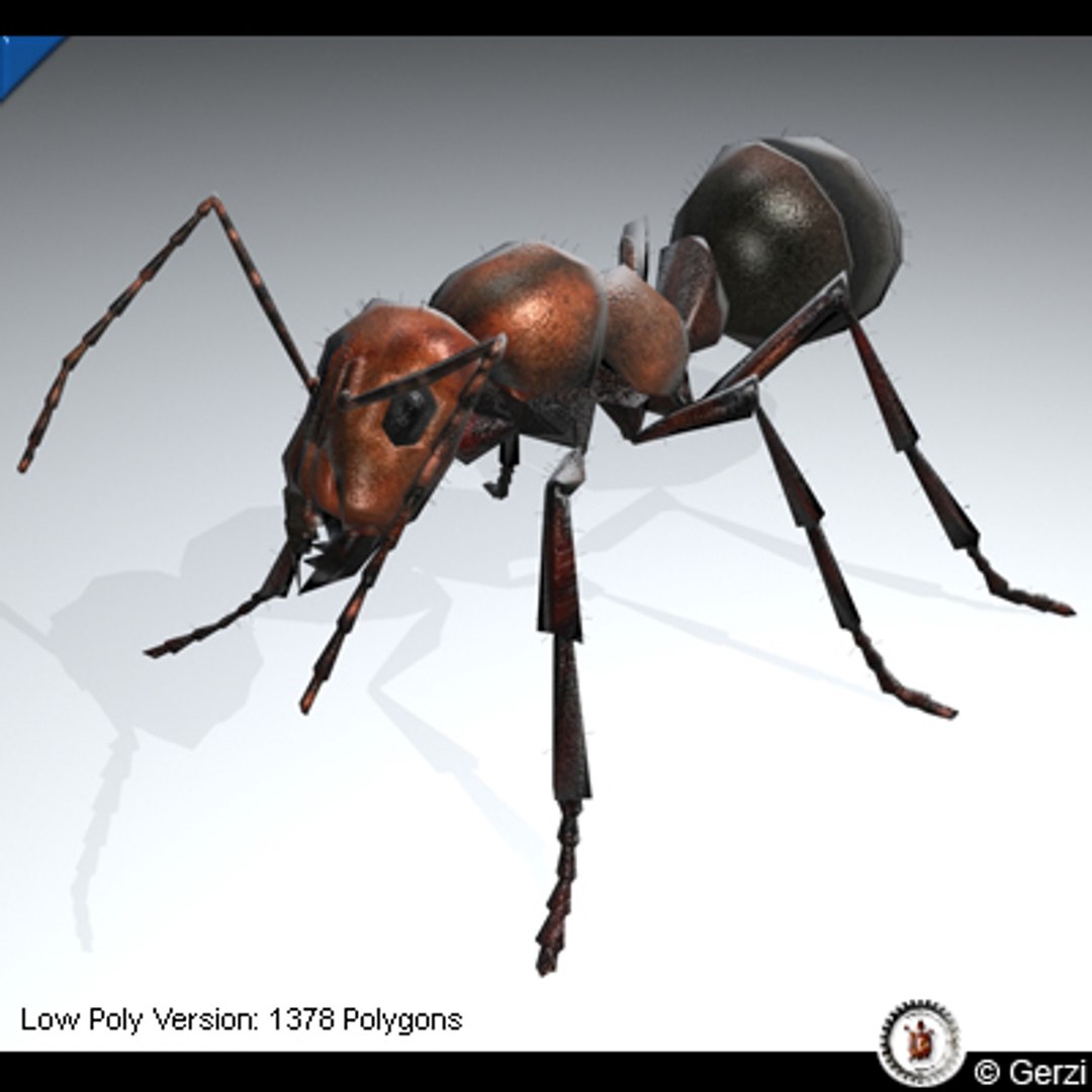Ant Model - TurboSquid 240480