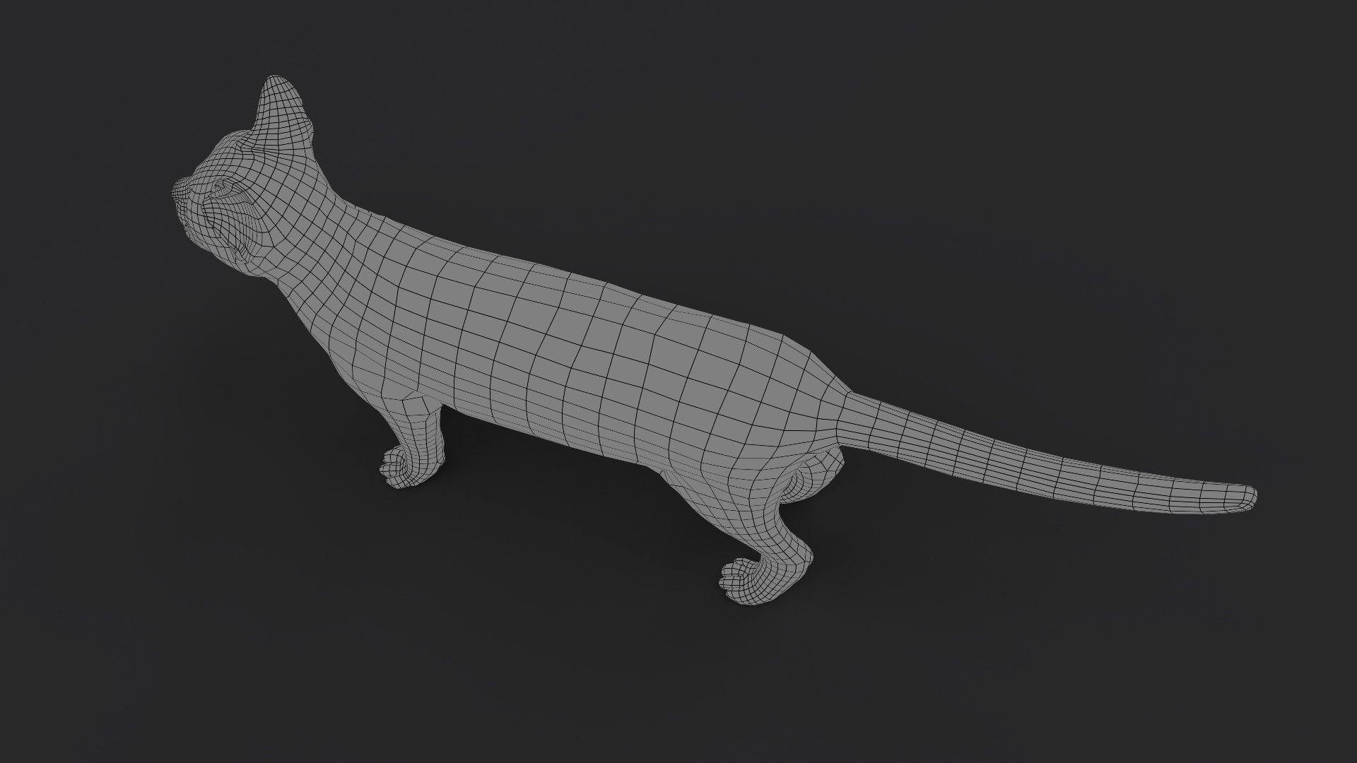 3D BLACK CAT RIG XGEN-CORE - TurboSquid 2075247