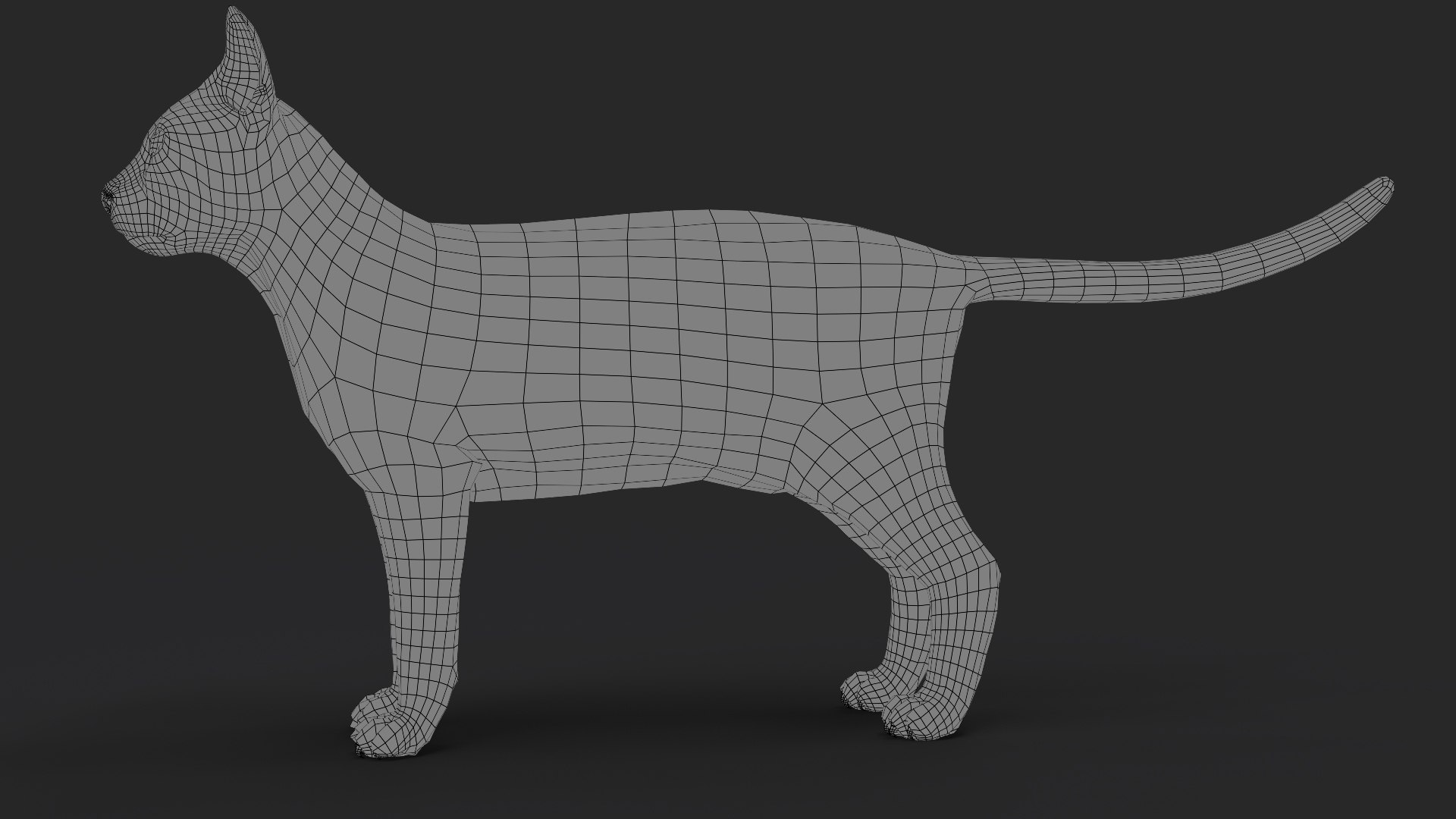 3D BLACK CAT RIG XGEN-CORE - TurboSquid 2075247