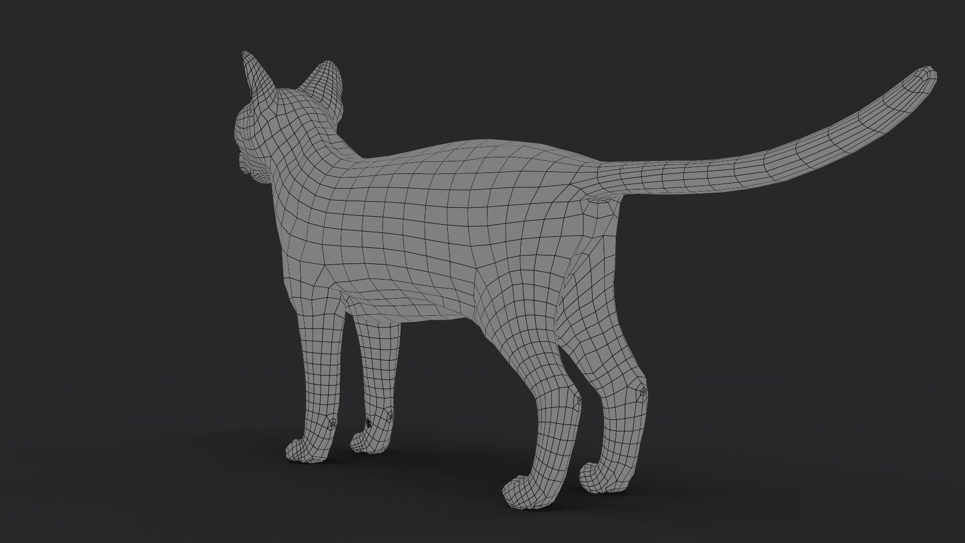 3D BLACK CAT RIG XGEN-CORE - TurboSquid 2075247