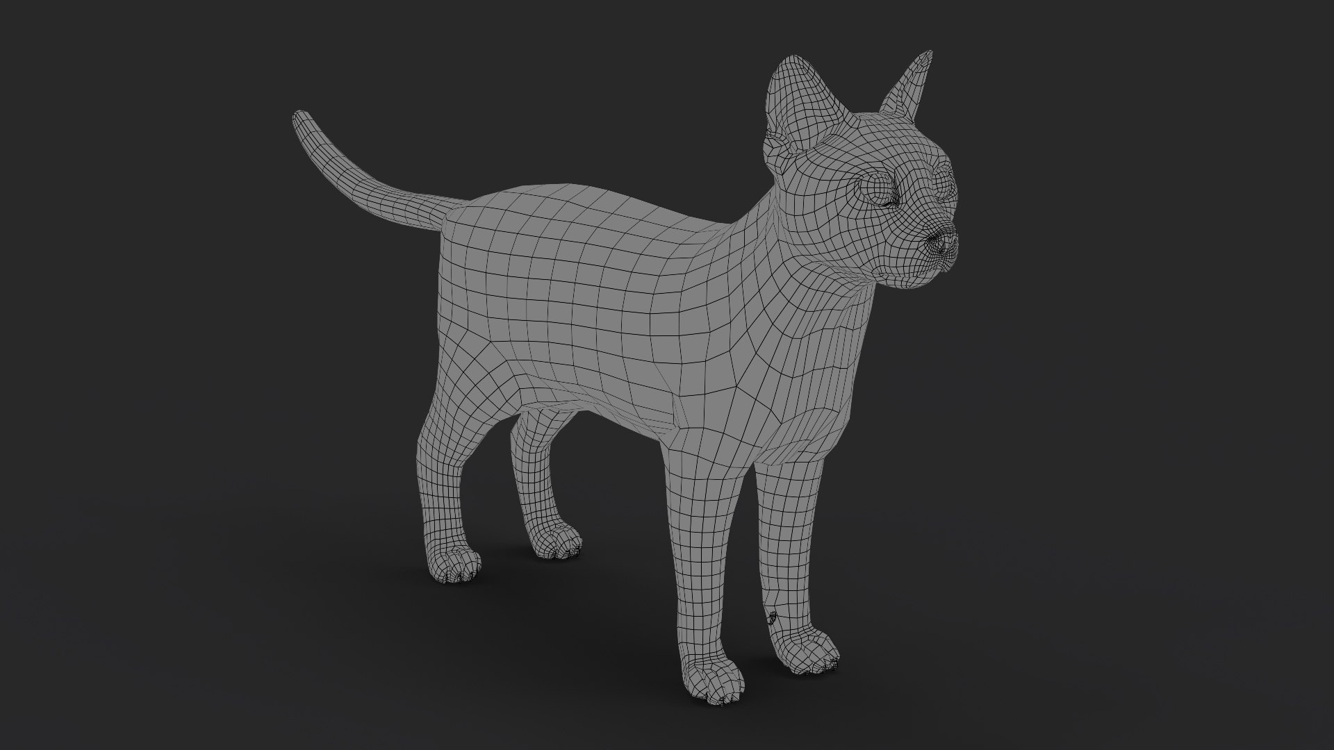 3D BLACK CAT RIG XGEN-CORE - TurboSquid 2075247